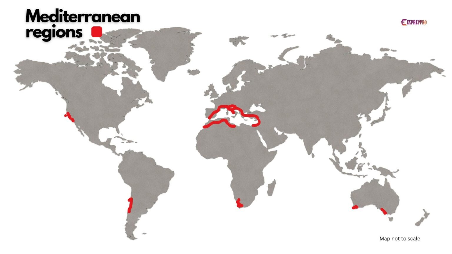 Mediterranean Climate or Western Margin Climate | UPSC