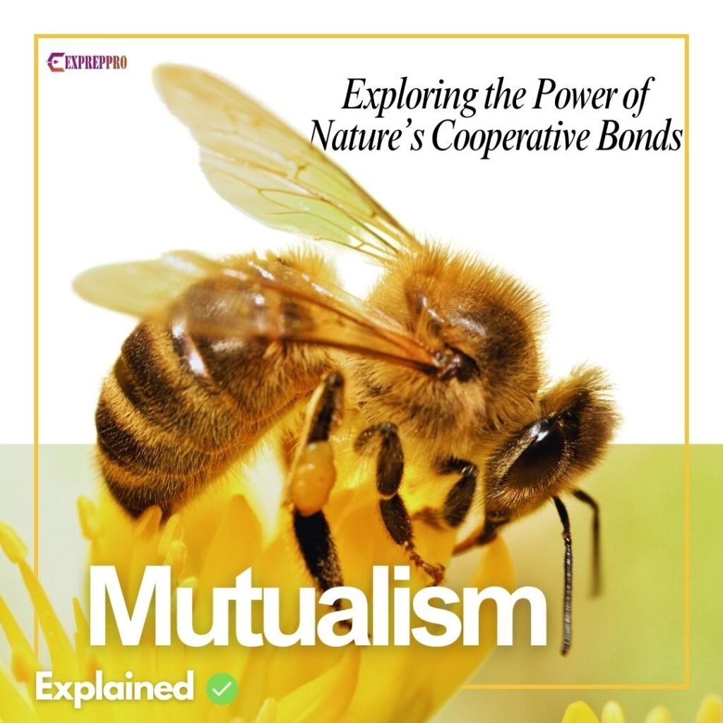 Exploring Mutualism - Definition, Types, Examples | UPSC